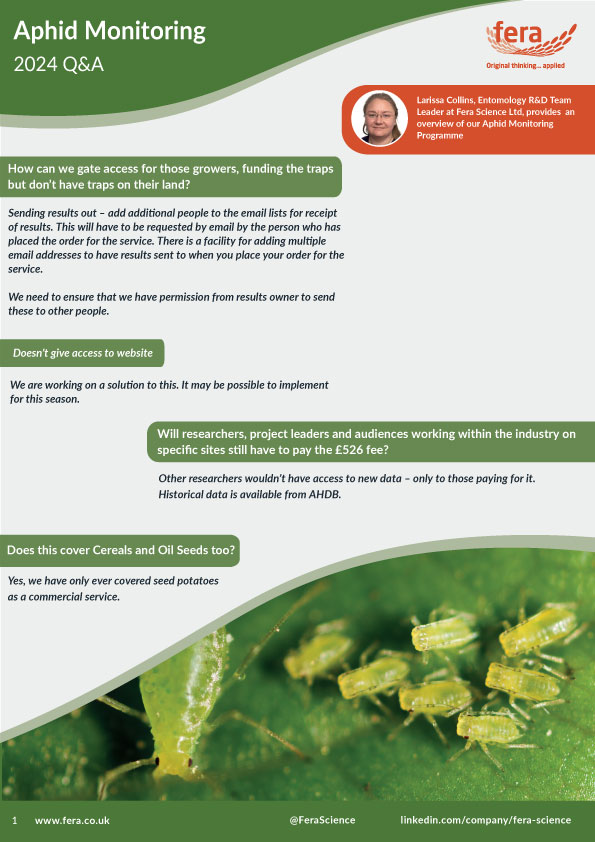 In-field aphid monitoring with yellow water traps – seed potatoes