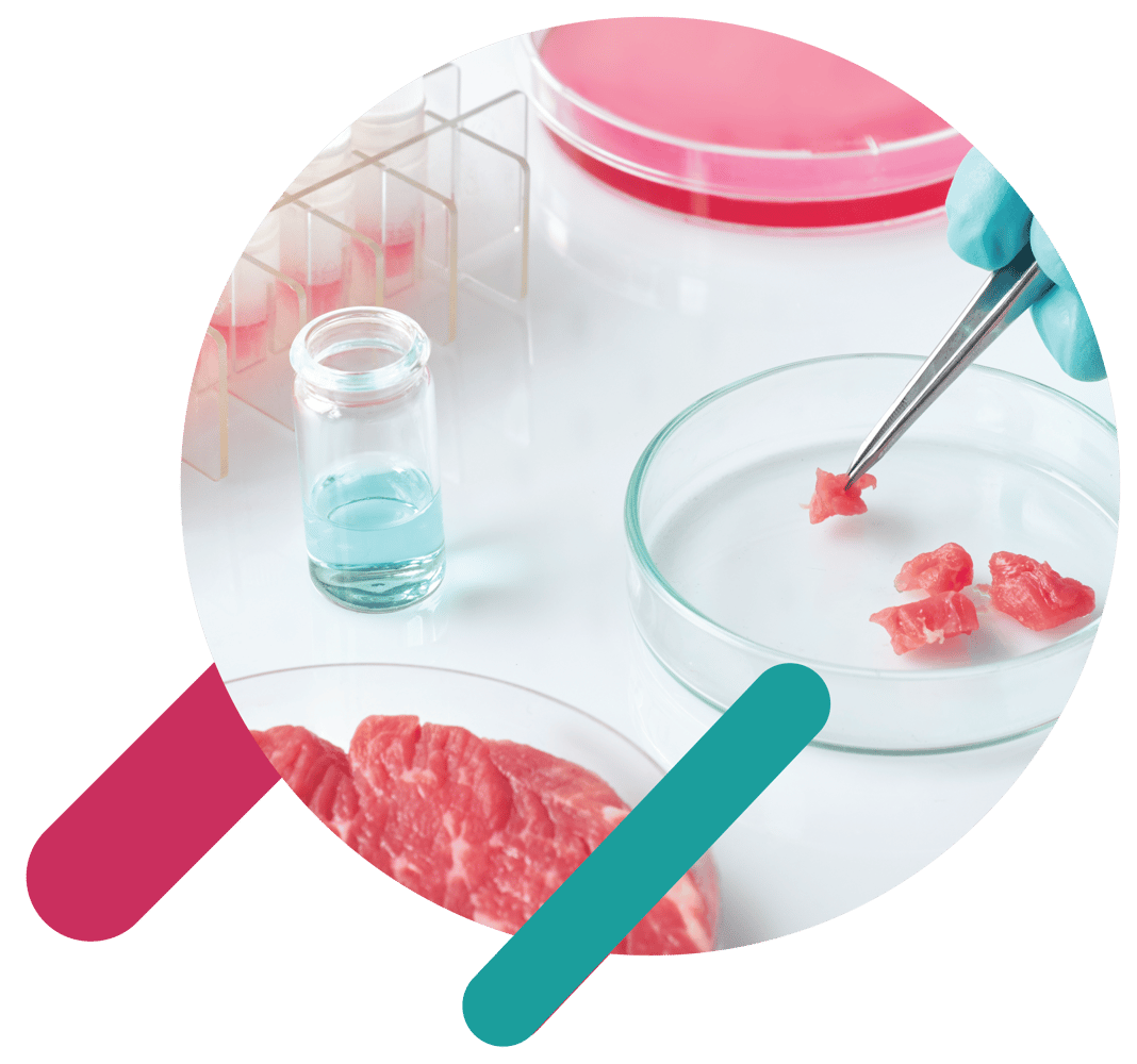 Alternative Proteins and Novel Foods