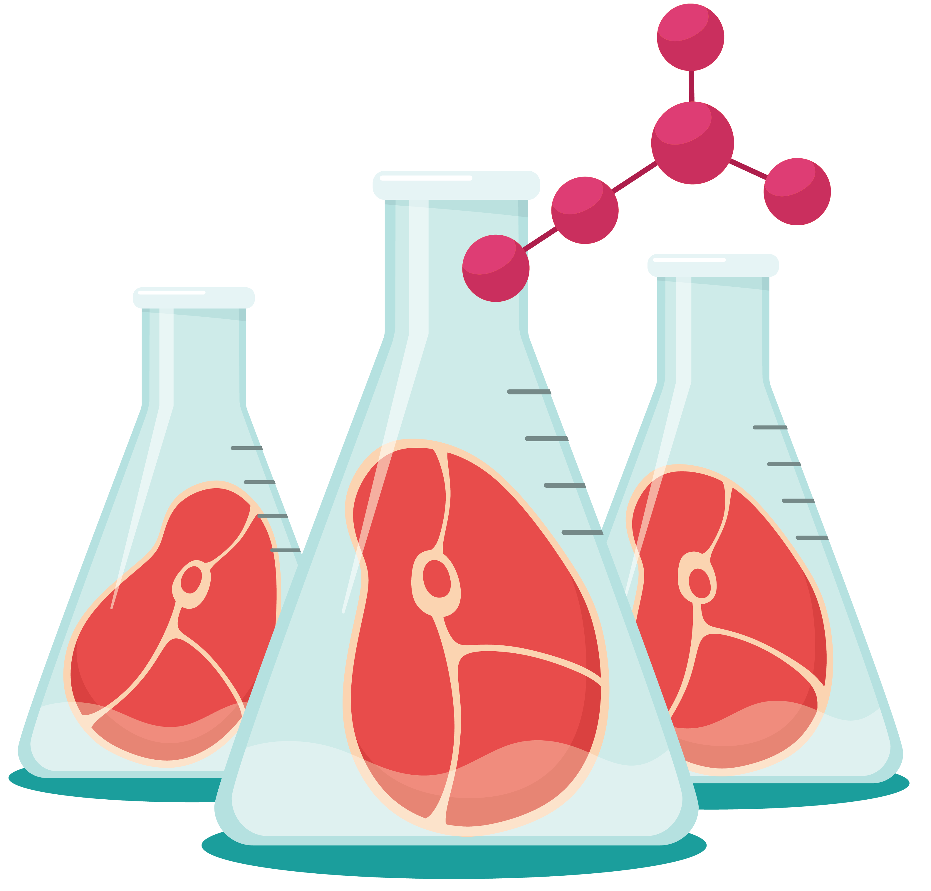 Alternative Proteins and Novel Foods